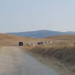 Andrea Bocelli concert LAJATICO Limousine Service from Florence - The Practicalities: What the Transport Offers