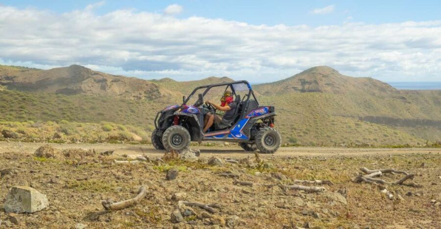 Anfi beach: Guided Buggy Tour. - Who Should Consider This Tour?
