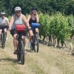 Angers: Cycling tour with wine tastings ! - Detailed Itinerary Breakdown