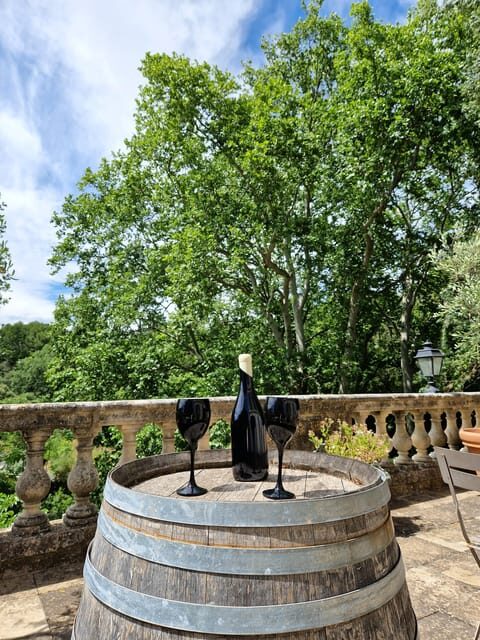 Aniane: Discover the Art of Blind Tasting at Château Capion - Detailed Breakdown of the Itinerary
