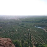 Animal farm park with free hotel pickup - FAQs
