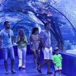 Antalya Aquarium and Face to Face Wax Museum Ticket - The Highlights of the Antalya Aquarium
