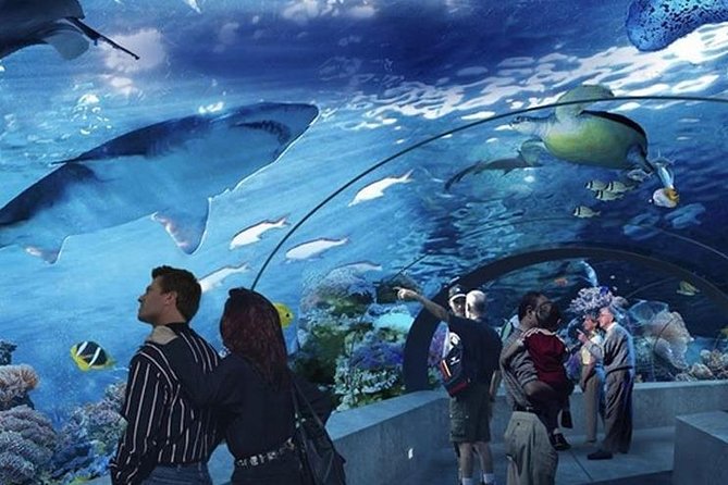 Antalya Aquarium Tour Platinium Tour - Why Choose the Antalya Aquarium Platinium Tour?