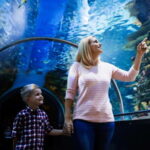Antalya: Aquarium, Wax Museum, Snow World, Wild Park - The Sum Up