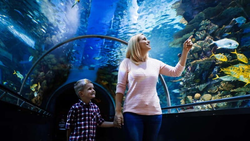 Antalya: Aquarium, Wax Museum, Snow World, Wild Park - The Sum Up