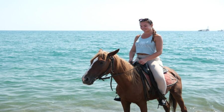 Antalya Horse Safari - Analyzing the Value