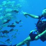 Antalya/ Kemer/ Belek Scuba Diving With Lunch & Transfer - The Underwater Environment