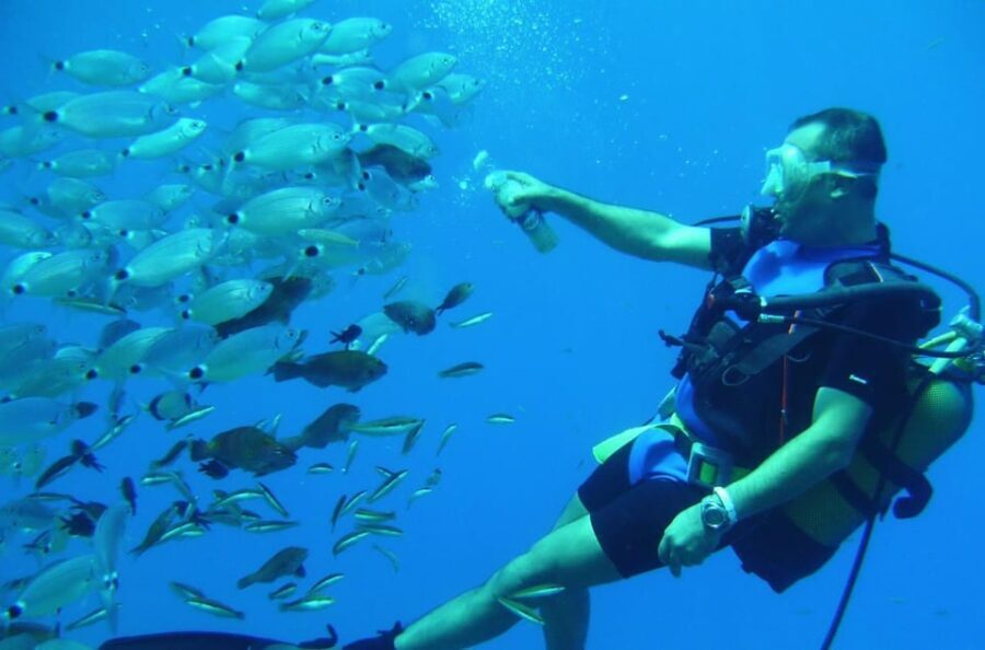 Antalya/ Kemer/ Belek Scuba Diving With Lunch & Transfer - The Underwater Environment
