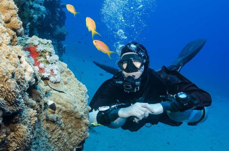 Antalya/Kemer: Scuba Diving Experience with 2 Dives & Lunch - What Travelers Love