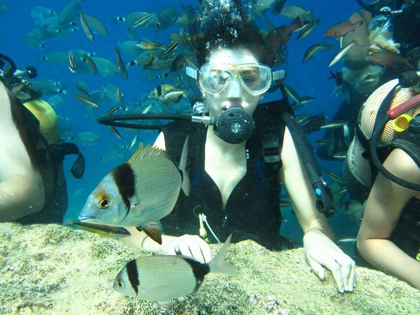 Antalya/Kemer: Scuba Diving Experience with Lunch & Pick up - Final Thoughts