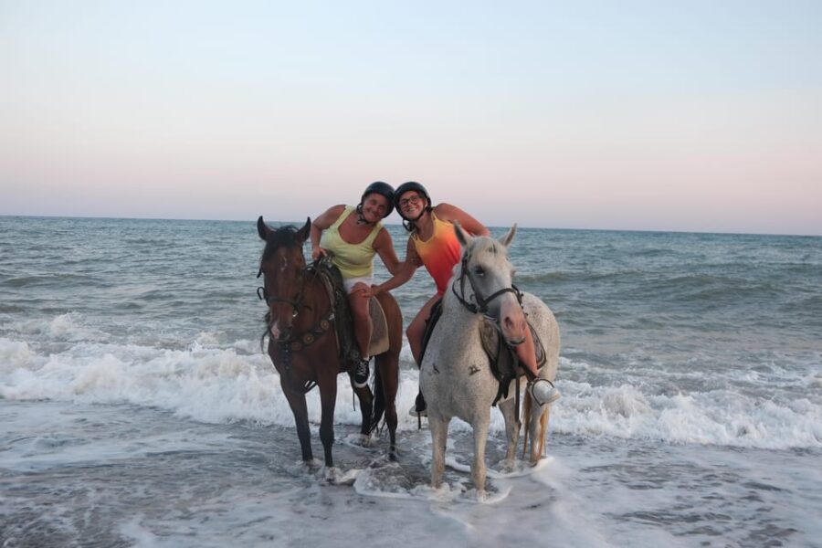 Antalya: Lara Beach & Forrest Horse Riding Safari - Who is This Tour Best For?