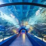Antalya Tunnel Aquarium - Departure from Side - What Travelers Can Expect from This Tour