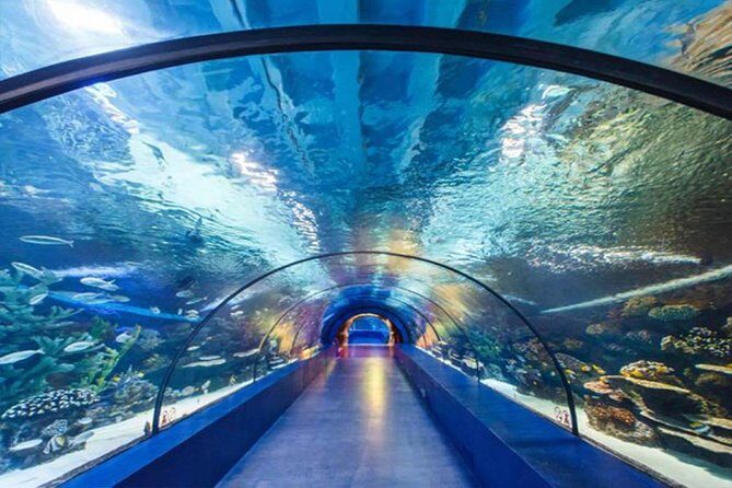 Antalya Tunnel Aquarium - Departure from Side - What Travelers Can Expect from This Tour