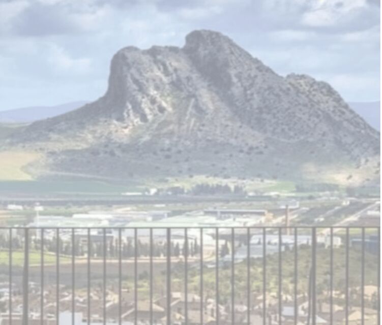 Antequera : Historic Center Walking Tour - Price and Value: Is It Worth It?