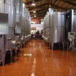 Antica Masseria Venditti: guided visit to the winery with wine tasting - A Deep Dive into the Experience