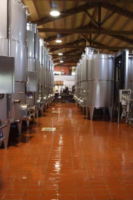 Antica Masseria Venditti: guided visit to the winery with wine tasting - A Deep Dive into the Experience