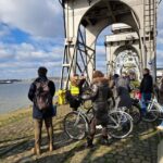 Antwerp: City Highlights Guided Bike Tour - An In-Depth Look at the Tour Experience