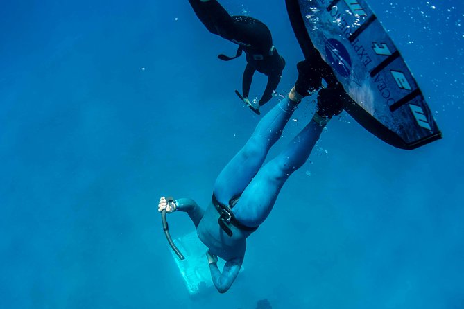 Apnea Discovery - Key Points