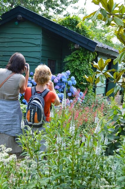 Appeltern: Flower Park Appeltern Entry Ticket - Practical Tips for Visiting