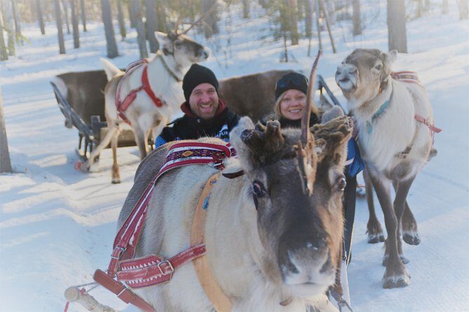 Apukka Reindeer Journey - Frequently Asked Questions