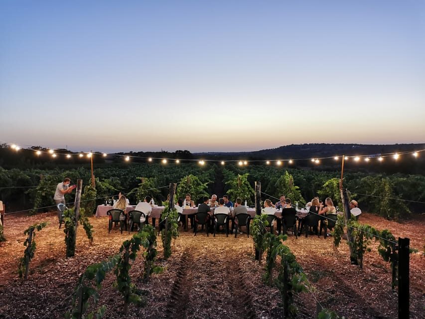 Apulia: Guided Wine Tasting with Local Appetizers - The Wine Selection and Its Significance