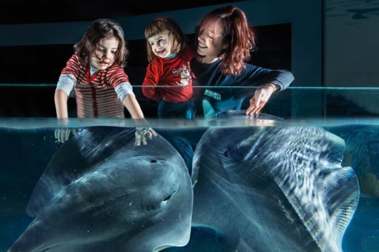 Aquarium of Cattolica Entry Ticket - Who Should Visit?