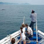 Aquarium of Genoa Ticket and Whale Watching Cruise - The Whale Watching Cruise Experience