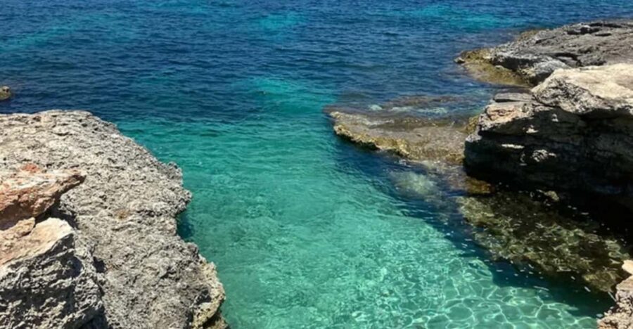 Aquatic Day Escape - Trips in Gozo, Comino & Malta - The Itinerary in Detail: What You Can Expect
