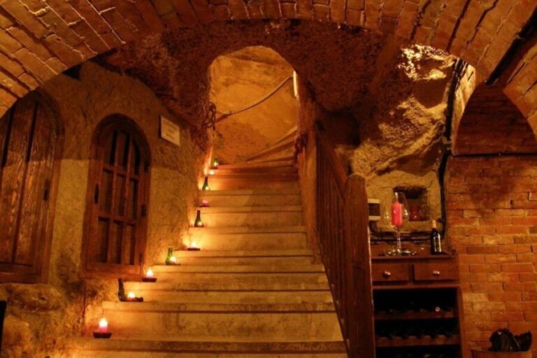 Aranda de Duero: Wine Tasting Course with Iberian Tasting - Who Will Love This Experience?
