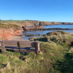 Arbroath: Seaton Cliffs Guided Walking Tour with Geologist - Why This Tour Offers Great Value