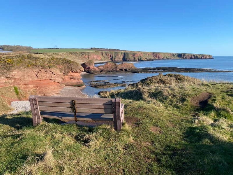 Arbroath: Seaton Cliffs Guided Walking Tour with Geologist - Why This Tour Offers Great Value