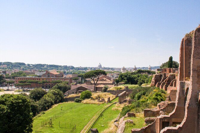Archaeo Rome Guided Tour from the Roman Forum to Palatine Hill - What Makes the Experience Valuable?