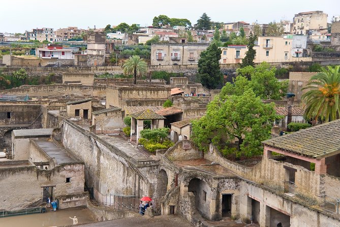 Archeological Herculaneum Private & Personalized Guided Tour - Introduction to the Tour