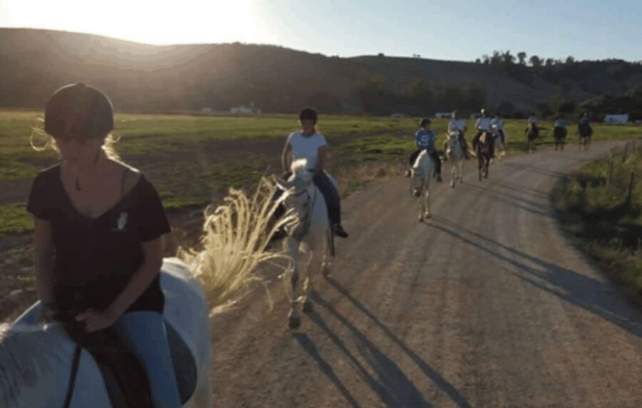 Arcos de la Frontera: Horseback Riding Experience - The Itinerary in Detail