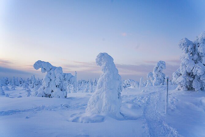 Arctic Adventure through Magical Frozen Forests of Riisitunturi - Frequently Asked Questions