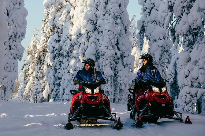 Arctic Circle Snowmobile Safari for Beginners in Rovaniemi - What This Tour Is All About