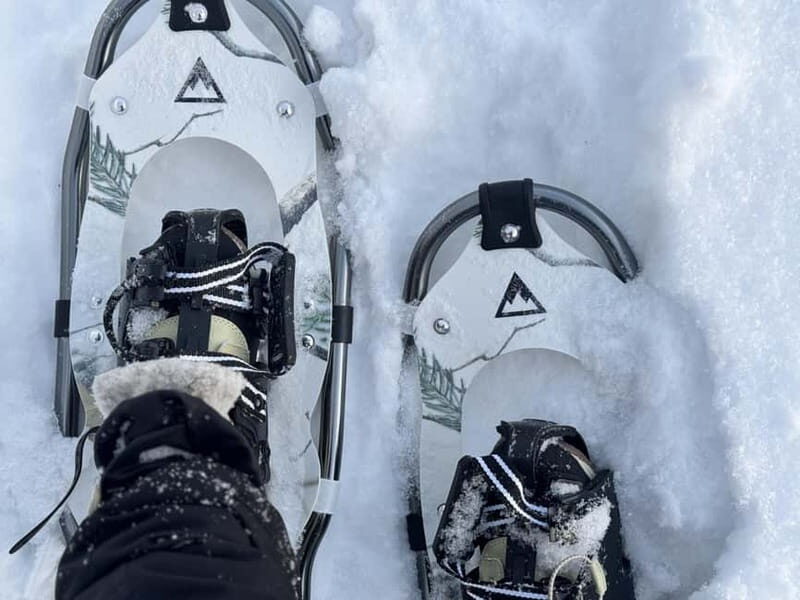 Arctic Gateway: Snowshoeing Expedition in Lapland - Final Thoughts