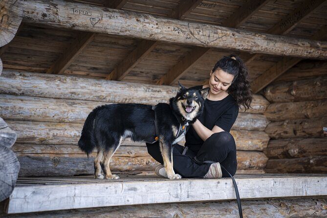 Arctic Hiking with Lappish Dogs - FAQs