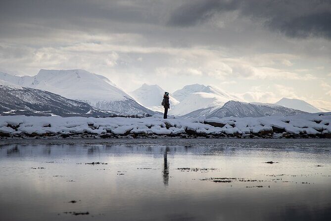 Arctic Landscapes Hiking, Sightseeing & Snowshoeing Private Tour - What to Expect from the Arctic Landscapes Tour