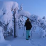 Arctic Reindeer Farm Experience with Snowshoeing in the Wild - Deep Dive into the Itinerary