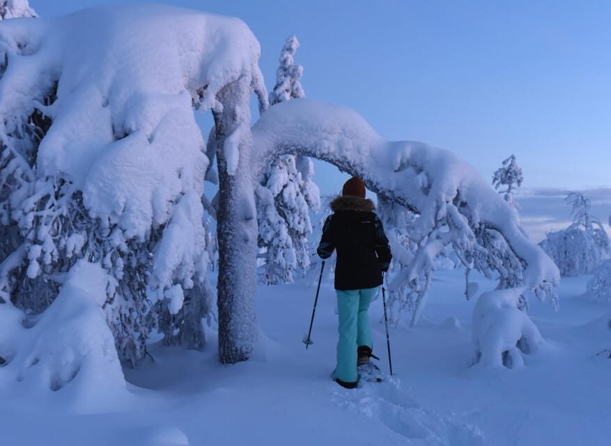 Arctic Reindeer Farm Experience with Snowshoeing in the Wild - Deep Dive into the Itinerary