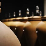 Ardèche: Cellar tour and tasting of 15 wines - A Closer Look at the Experience