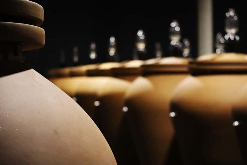 Ardèche: Cellar tour and tasting of 15 wines - A Closer Look at the Experience