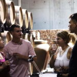 Ardèche: Tour and tasting of wines aged in amphorae and barrels - The Experience and Atmosphere