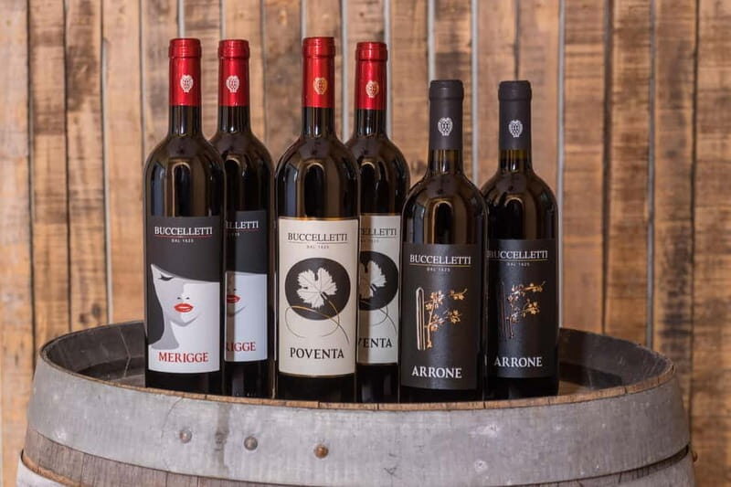 Arezzo: Vertical Tasting of Merlot Wines - The Experience’s Pros and Cons