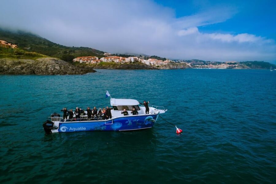 Argelès-sur-Mer: snorkeling into the Marine Natural Park - FAQ about the snorkeling tour in Argelès-sur-Mer
