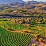 Argo Cultural Arts and Tastings Private Tour - What Makes This Tour Stand Out?