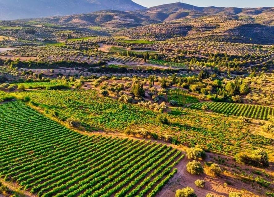 Argo Cultural Arts and Tastings Private Tour - What Makes This Tour Stand Out?