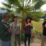 Aristotle's Philosophy Experiential Workshop, Lyceum, Athens - An In-Depth Look at the Aristotles Philosophy Workshop
