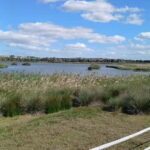 Armação de Pera: Salgados Natural Park E-Bike Tour - Discovering Algarve on E-Bikes